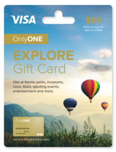 Category Visa Gift Cards – Only One Gift Card